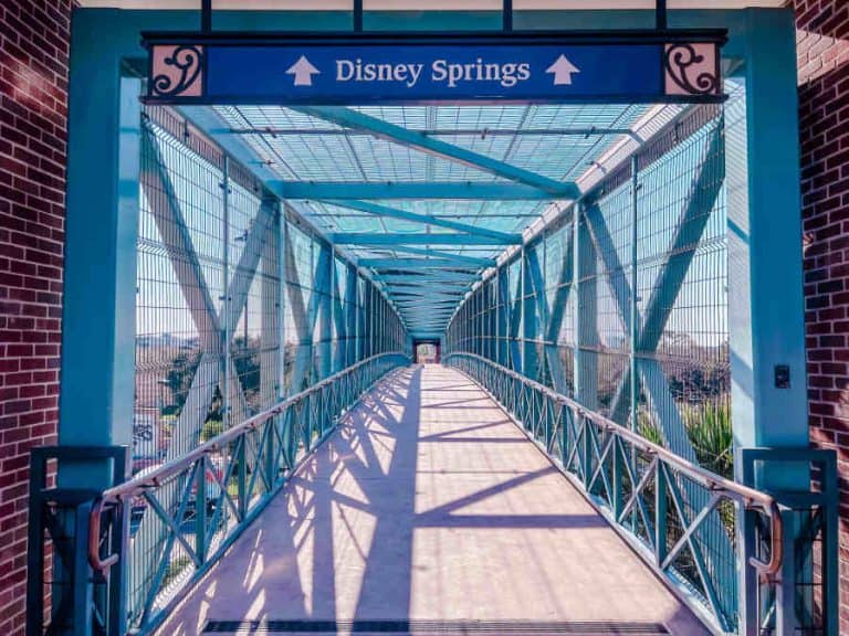 10 Best Disney Springs Hotels with Shuttle to Disney World