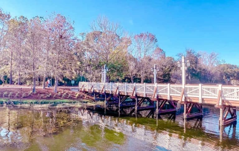 10 Best Disney Springs Hotels with Shuttle to Disney World