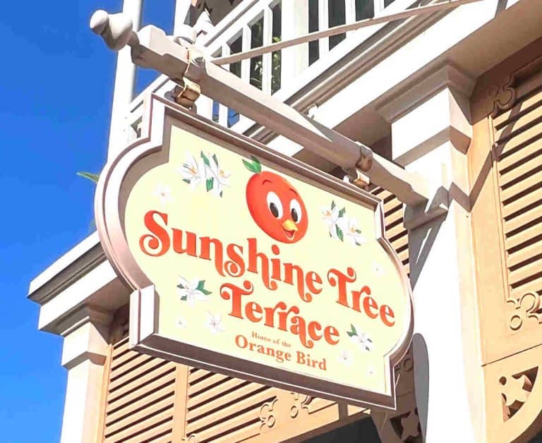 Disney Princess Heights - Measuring Up The Magic